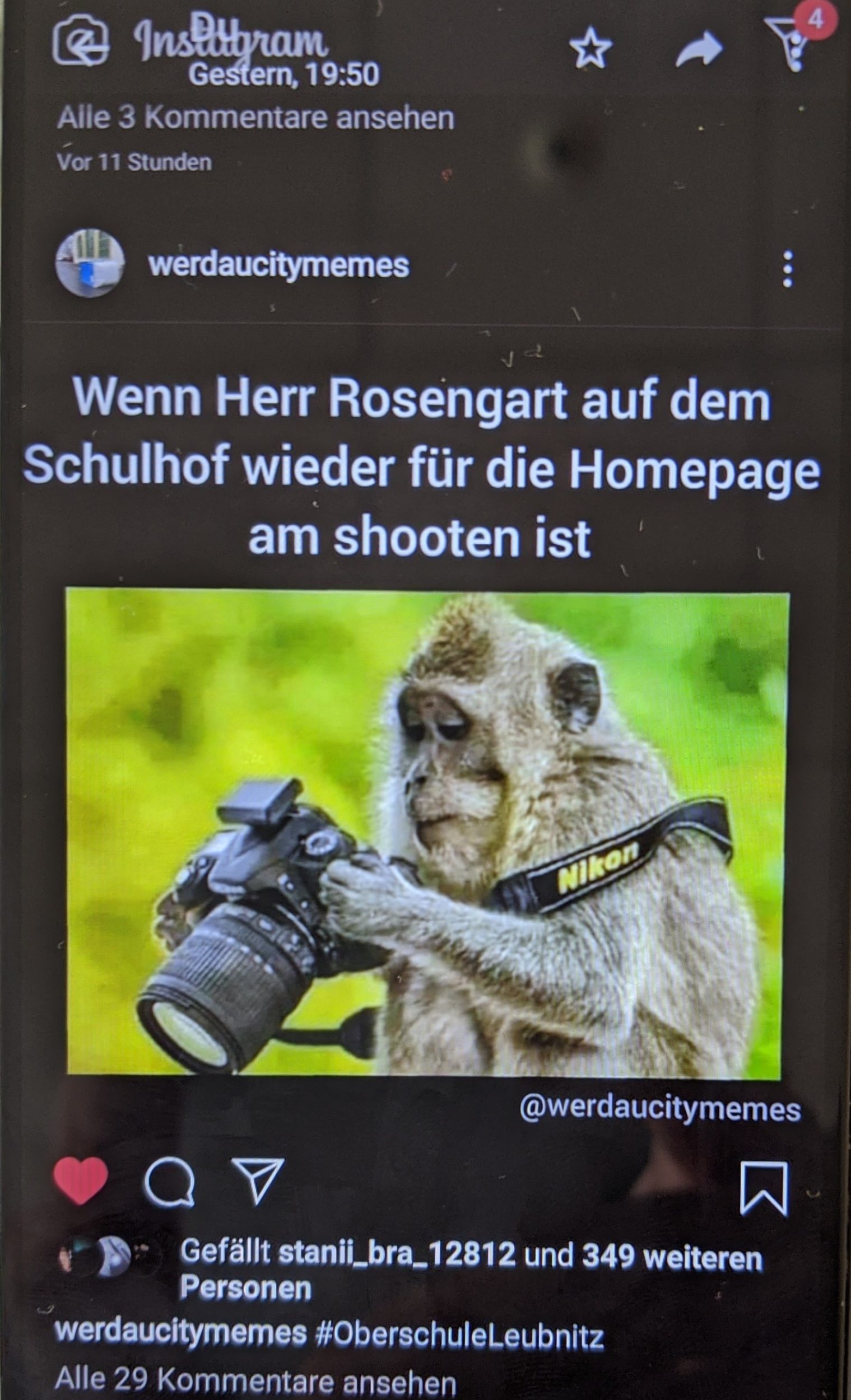 Ihr kennt sie alle: Memes. Ich kannte Memes bis gestern nicht ...